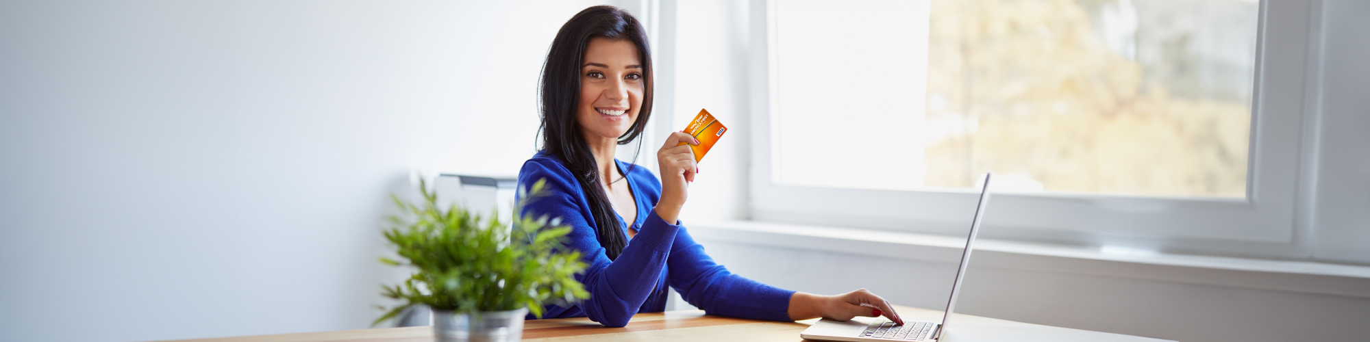 Visa Benefits Portal