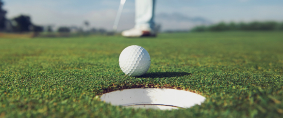 Visa Benefits Portal